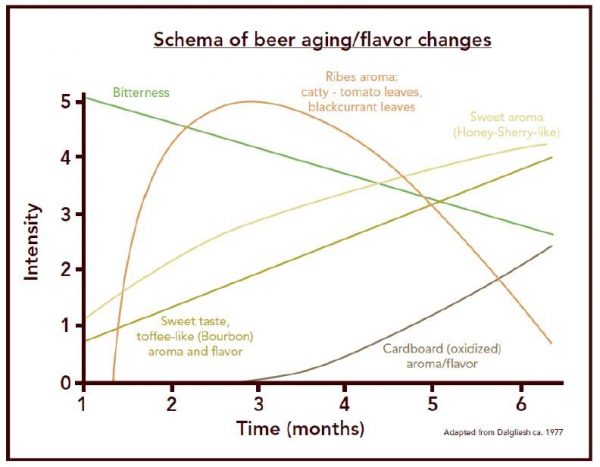 Craft Beer Storage - Radical Way Brewing